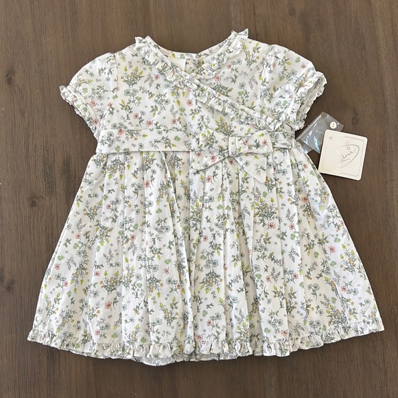 Dani | Dresses | New Sarah Louise Dani Baby Girls Micro Floral Ruffle ...